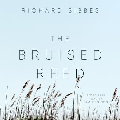 The Bruised Reed Audiobook, written by Richard Sibbes ...